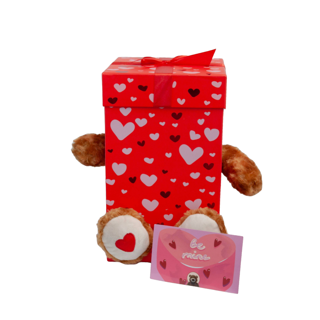 Teddy Bear Be Mine Gift Box | Rui Flowers & Florist Supplies